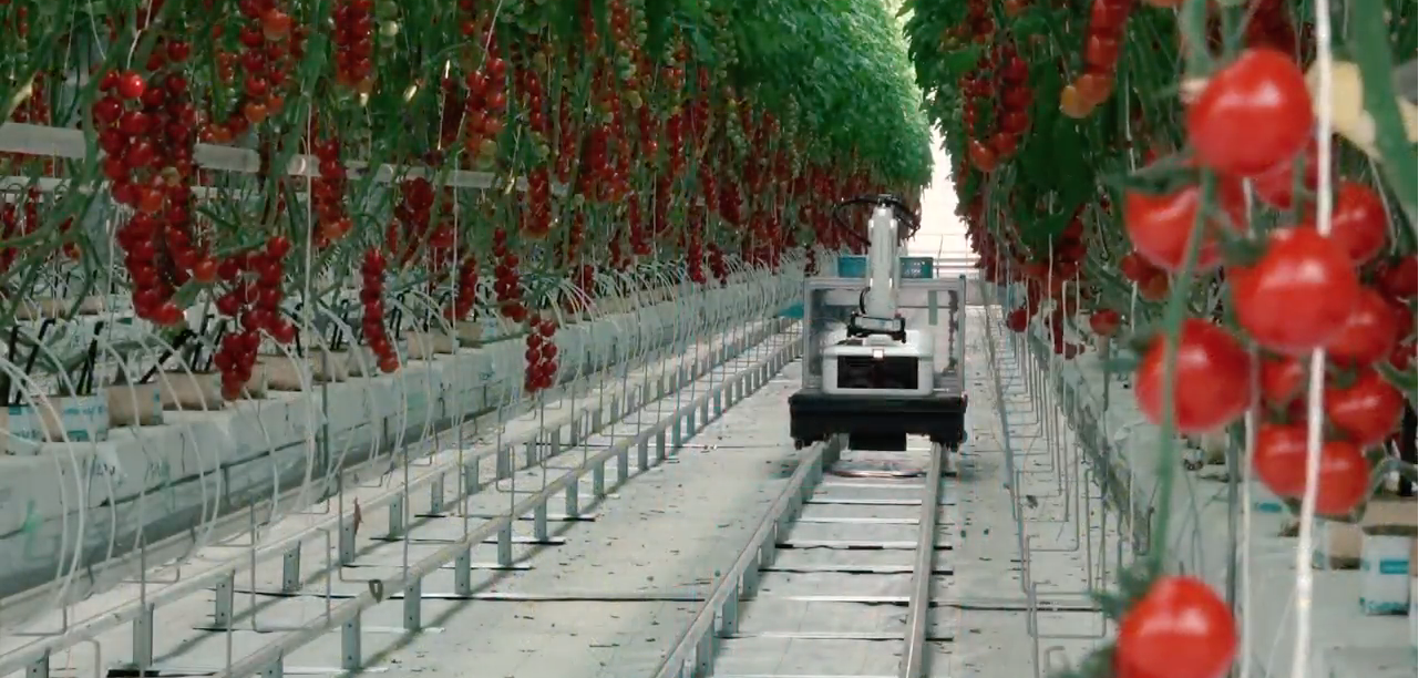 Creating a Worker-friendly, Sustainable-growth Farm — Collaboration ...